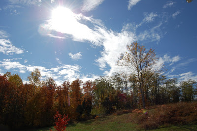 The Sun and Sky after an Autumn Rain - Growing The Home Garden