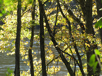 The Colors are Rolling In! (Fall Color Project 2010) - Growing The Home ...